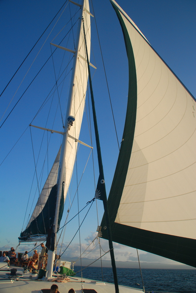 Wind in the Sails – Lives of Wander